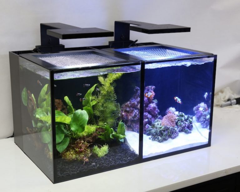 Acuarios - Entretenimiento y decoración para aficionados